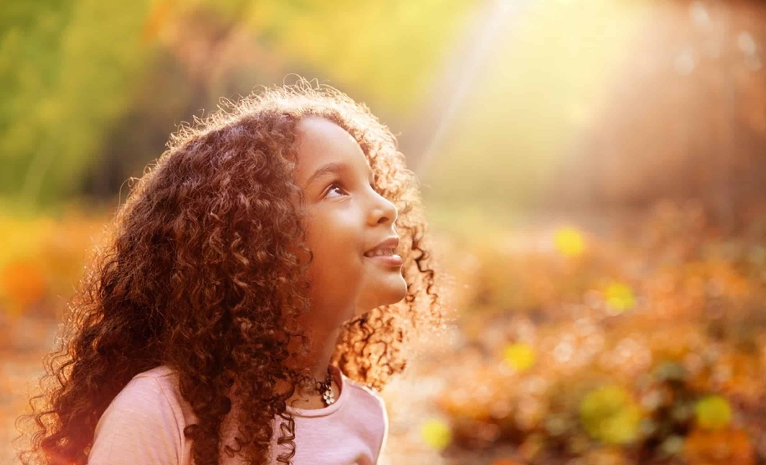 Solar Panel Products from Solar Energy World industry's best solar panels